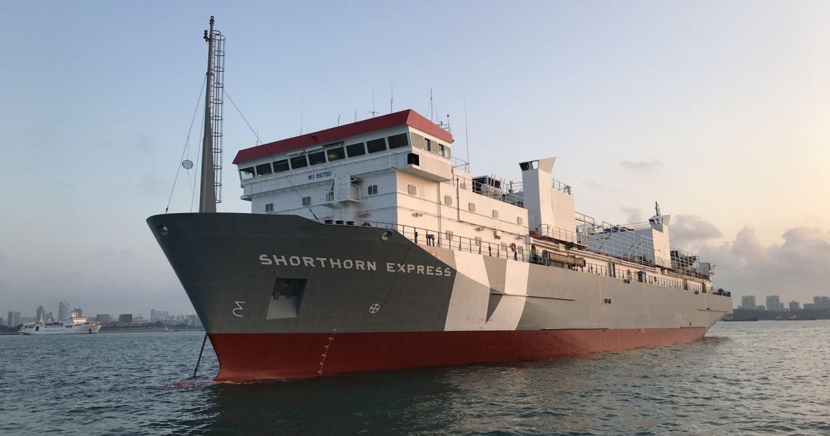 SHORTHORN EXPRESS | Vroon