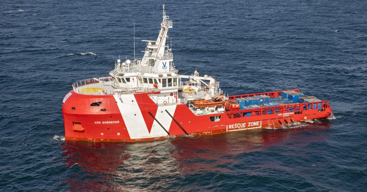 VOS GORGEOUS | Vroon